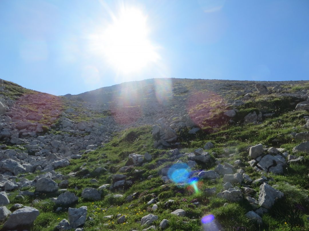 STOL NAJVIŠJI VRH V KARAVANKAH…. | Planinsko društvo Ajdovščina